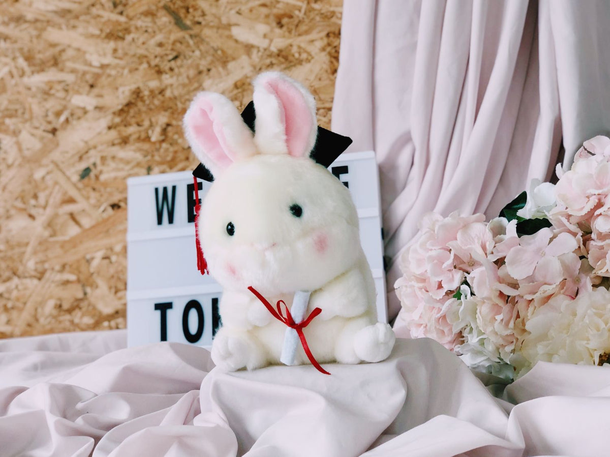 Fluffy Rabbit Singapore Graduation Soft Toy – TOKI